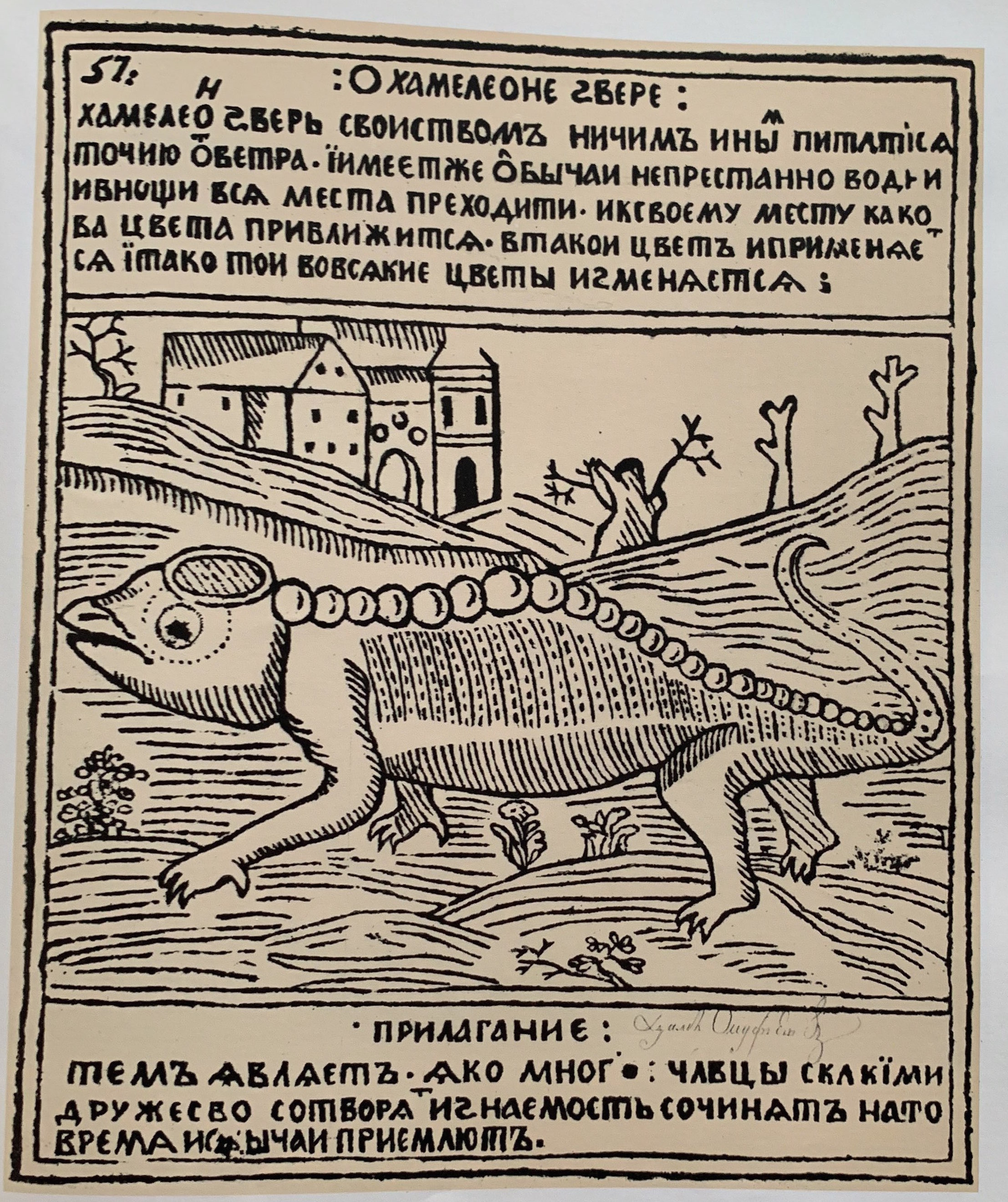 The Lubok